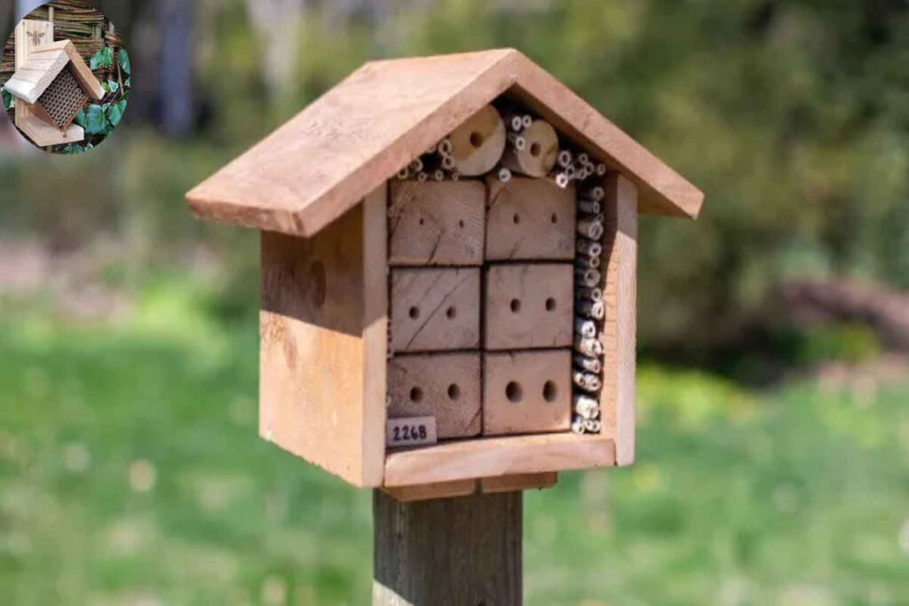Where Should You Put a Bee House in the UK? - how shine home